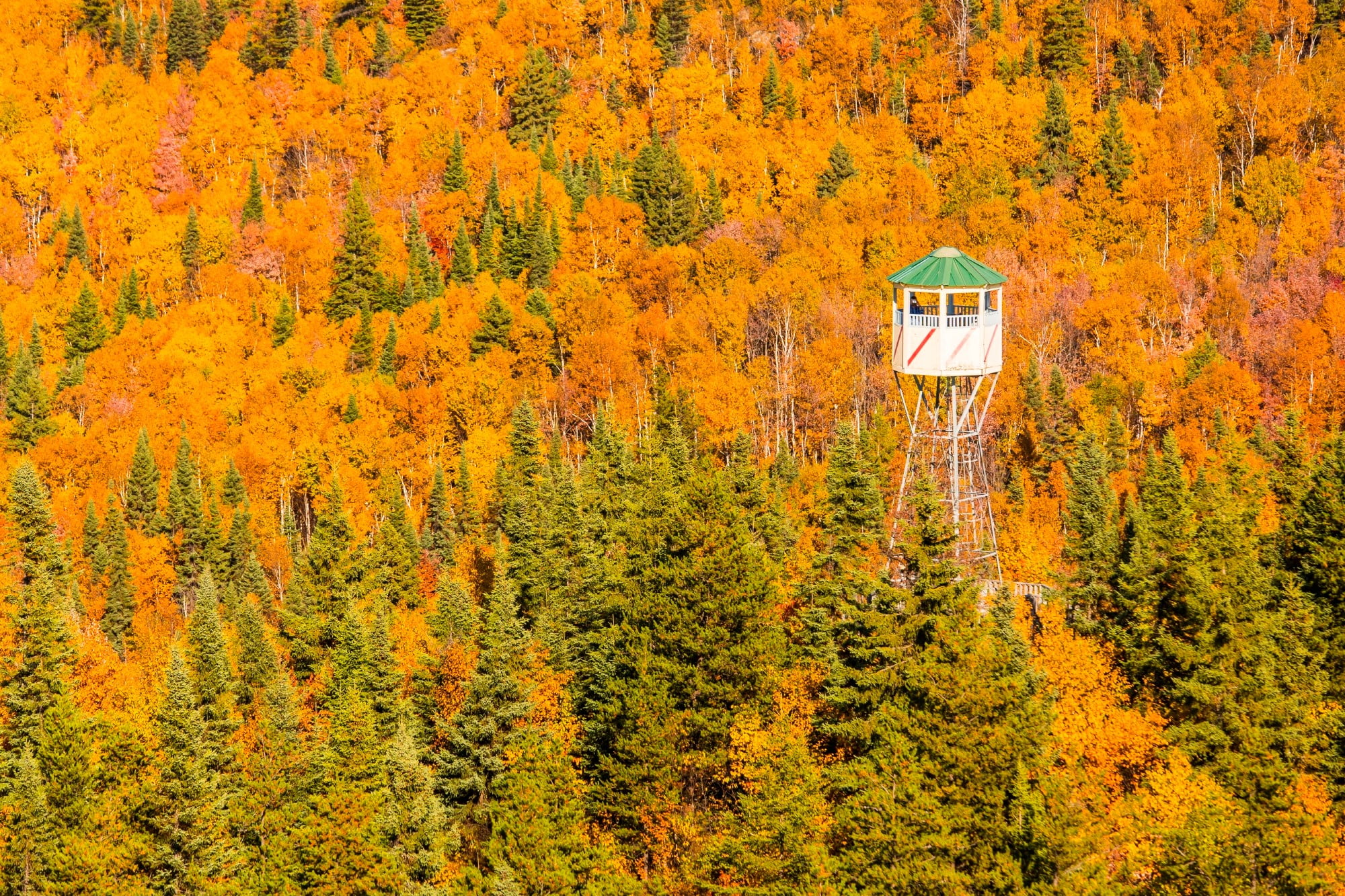The Parc national d'Aiguebelle, a must-see gem!