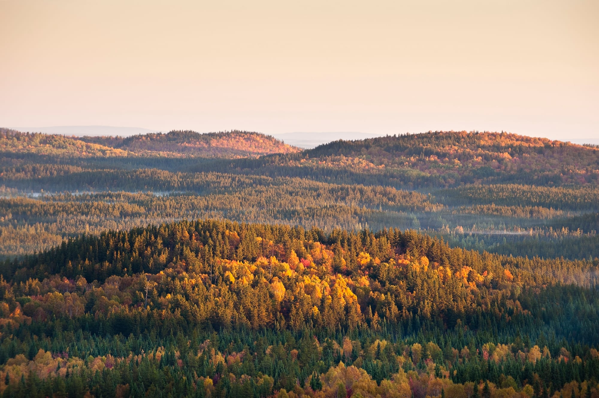 The Parc national d'Aiguebelle, a must-see gem!