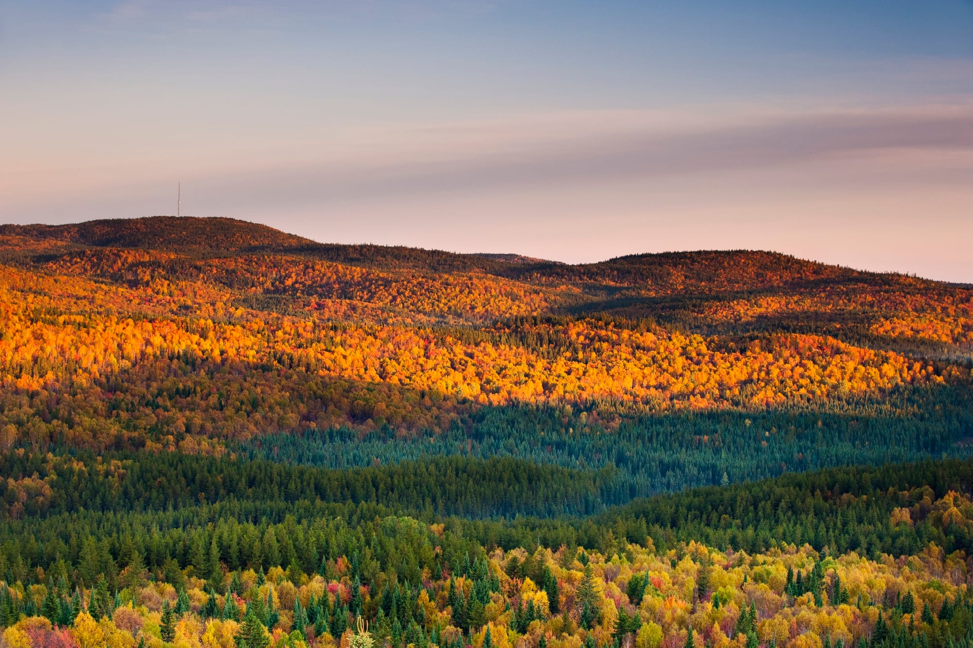 The Parc national d'Aiguebelle, a must-see gem!